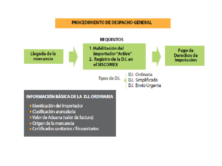 Procedimiento Despacho General | PDF
