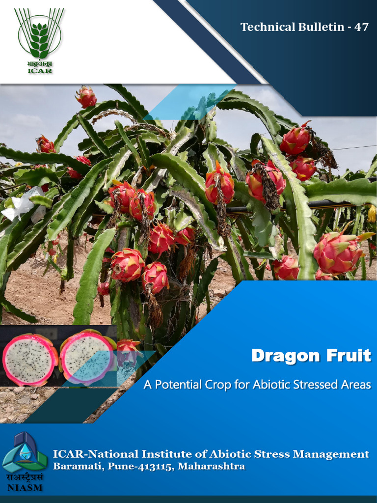 Dragon Fruit: Benefits and Cultivation Guide | PDF