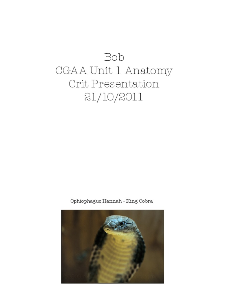 King Cobra Anatomy Presentation | PDF