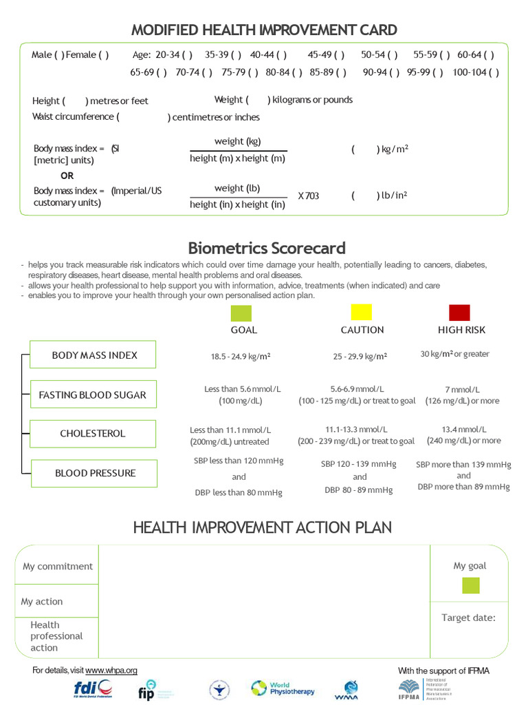 Health Improvement Action Plan Guide | PDF