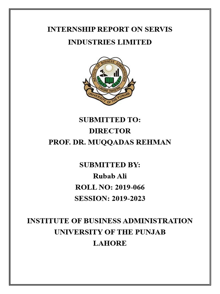 Internship Report 2019-23 Rubab Ali | PDF