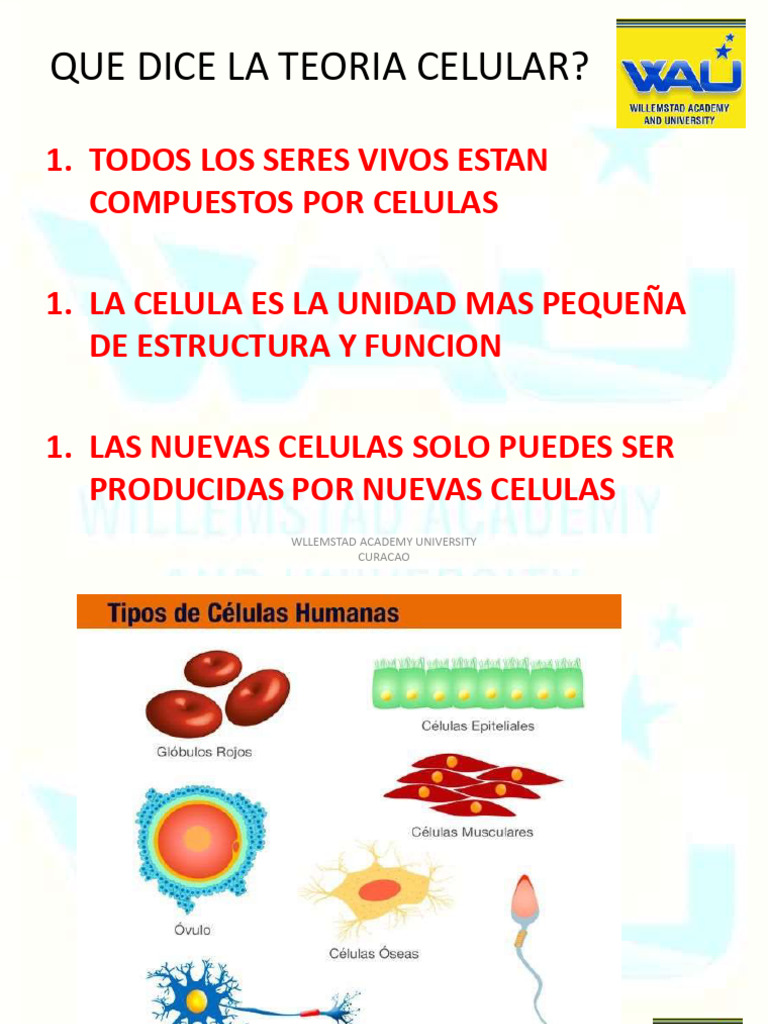 Teoría de Células | PDF