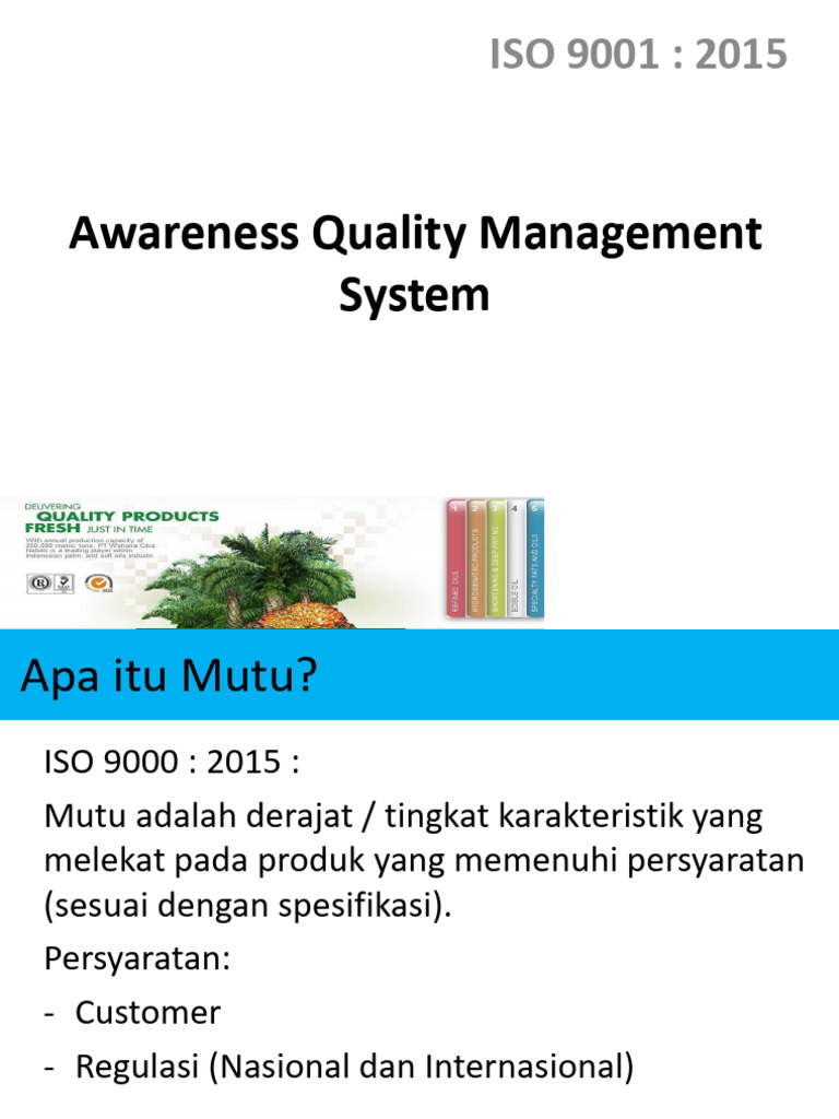 ISO 9001 2015 All | PDF
