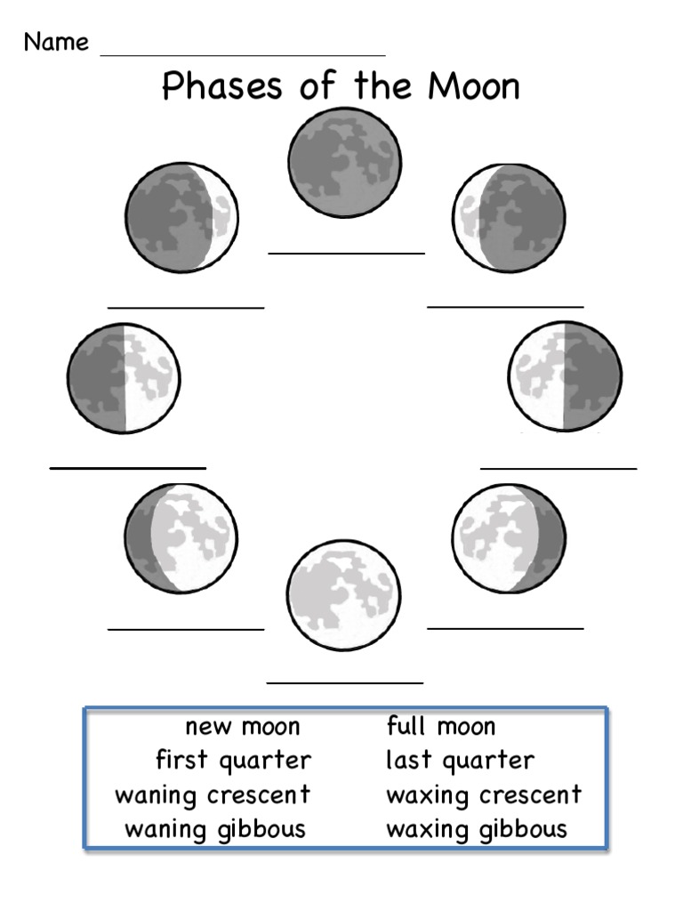 Phases of The Moon | PDF | Science & Mathematics