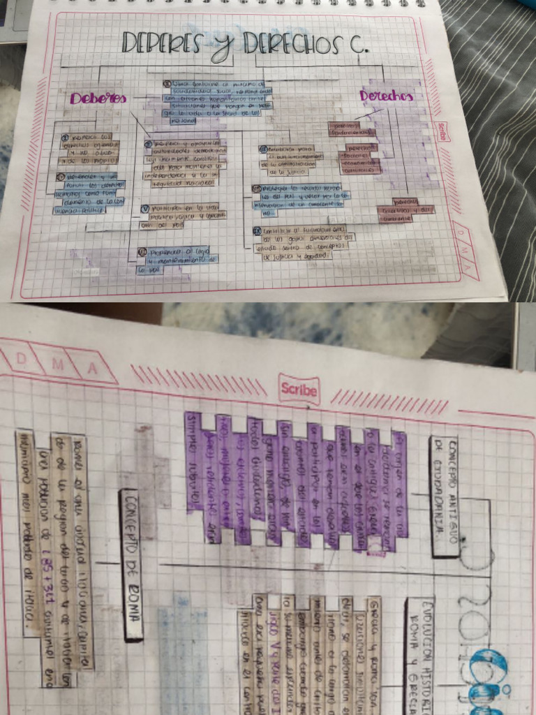 Mapas conceptuales catedra | PDF