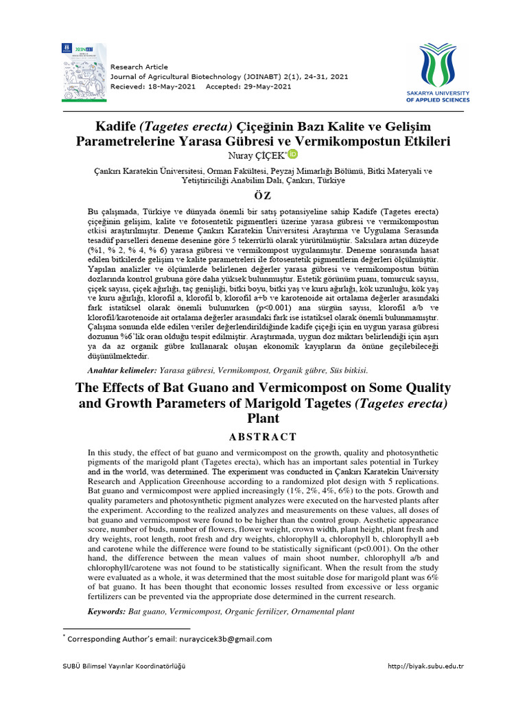 Kadife (Tagetes Erecta) - I - e - Inin Baz - Kalite Ve Geli - Im ...