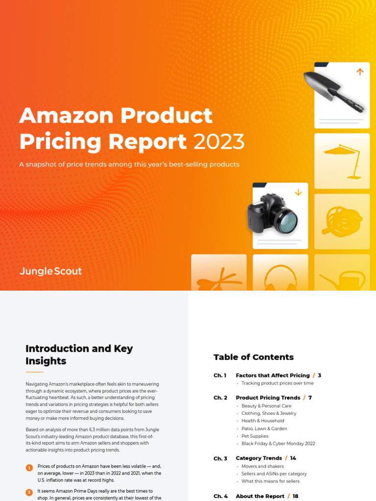 Amazon Product Pricing Report | PDF