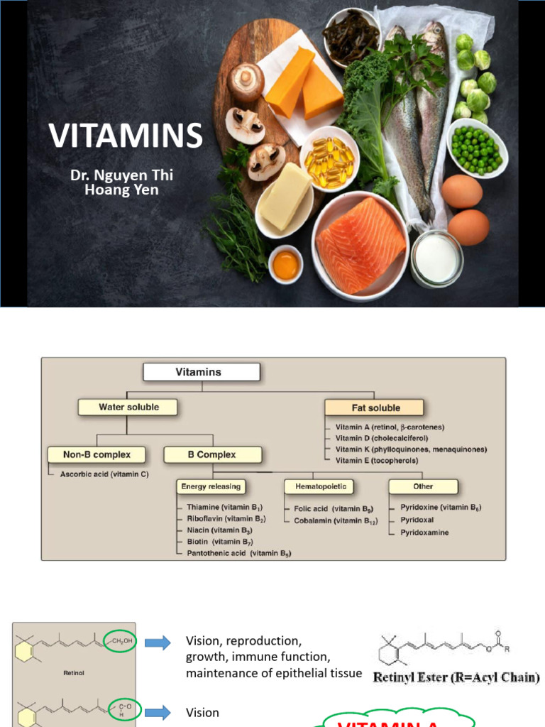Vitamin Student | PDF