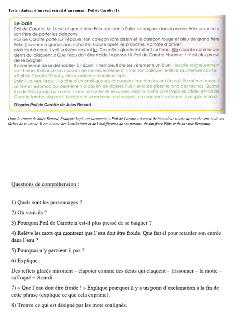 Questions de compréhension : Poil de Carotte | PDF