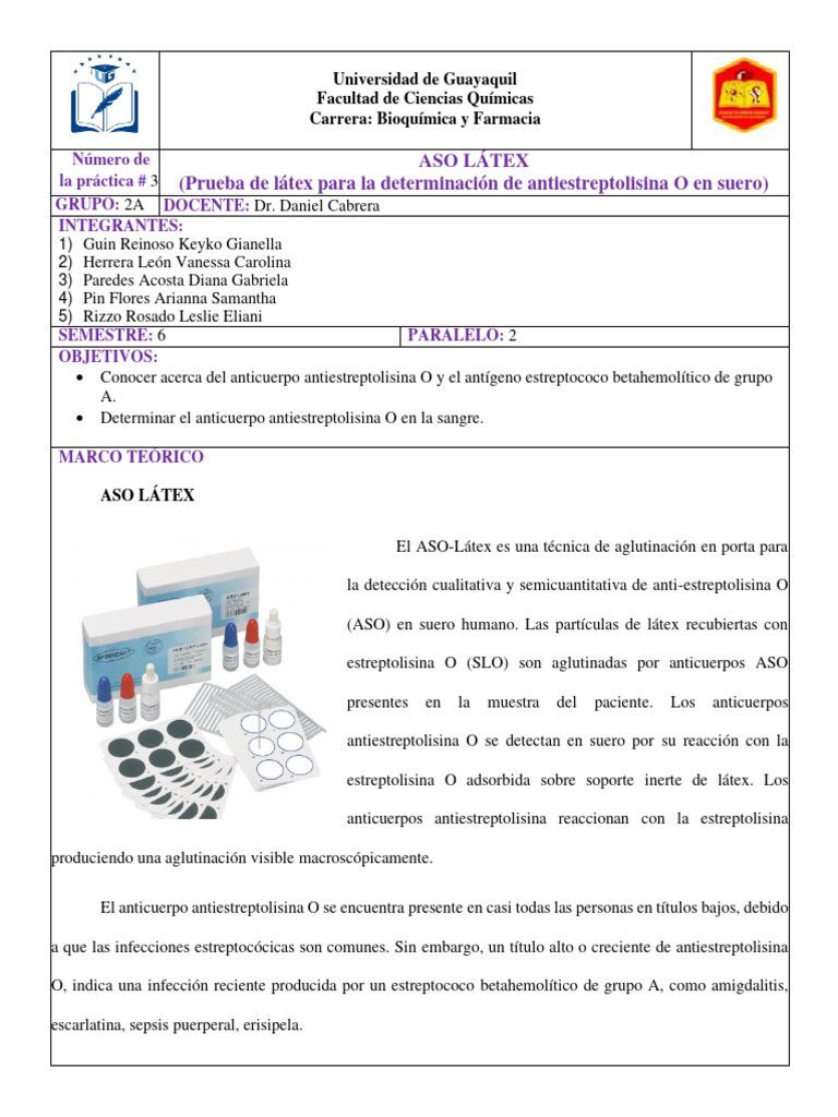 Práctica 3 Aso Látex Subgrupo 3. | PDF