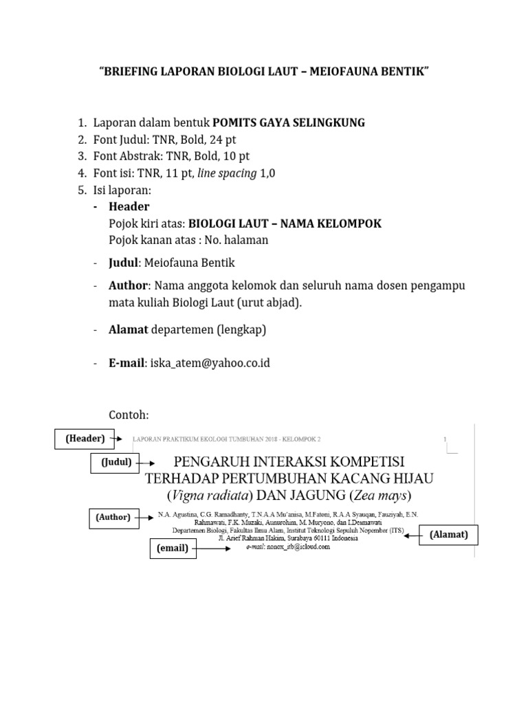 Laporan Meiofauna Bentik Biologi Laut | PDF