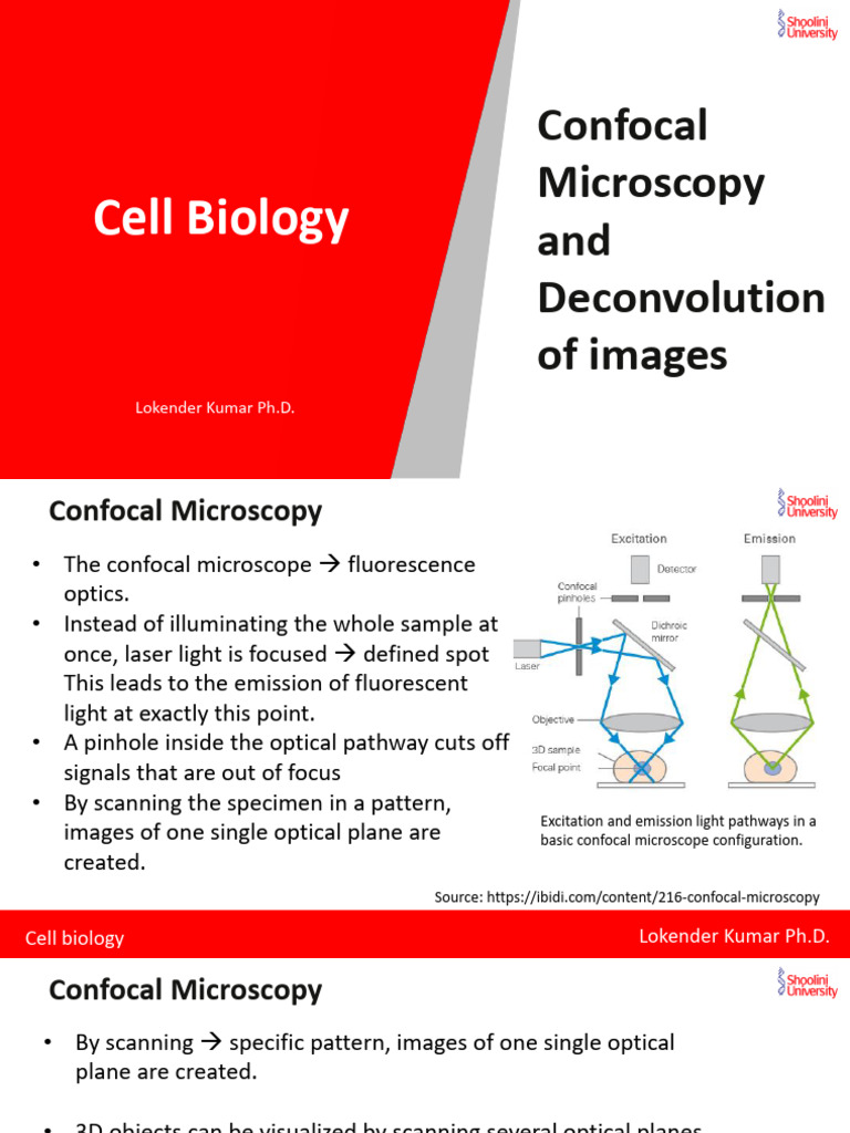 Confocal Micros | PDF