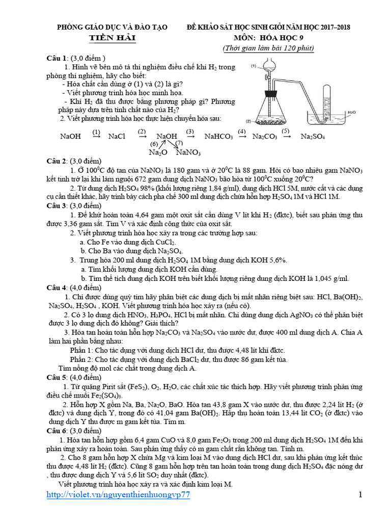40801.Đề thi chọn HSG | PDF