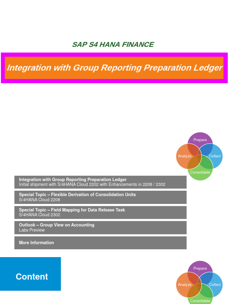 SAP Group Reporting Preparation Ledger | PDF | Currency | Euro