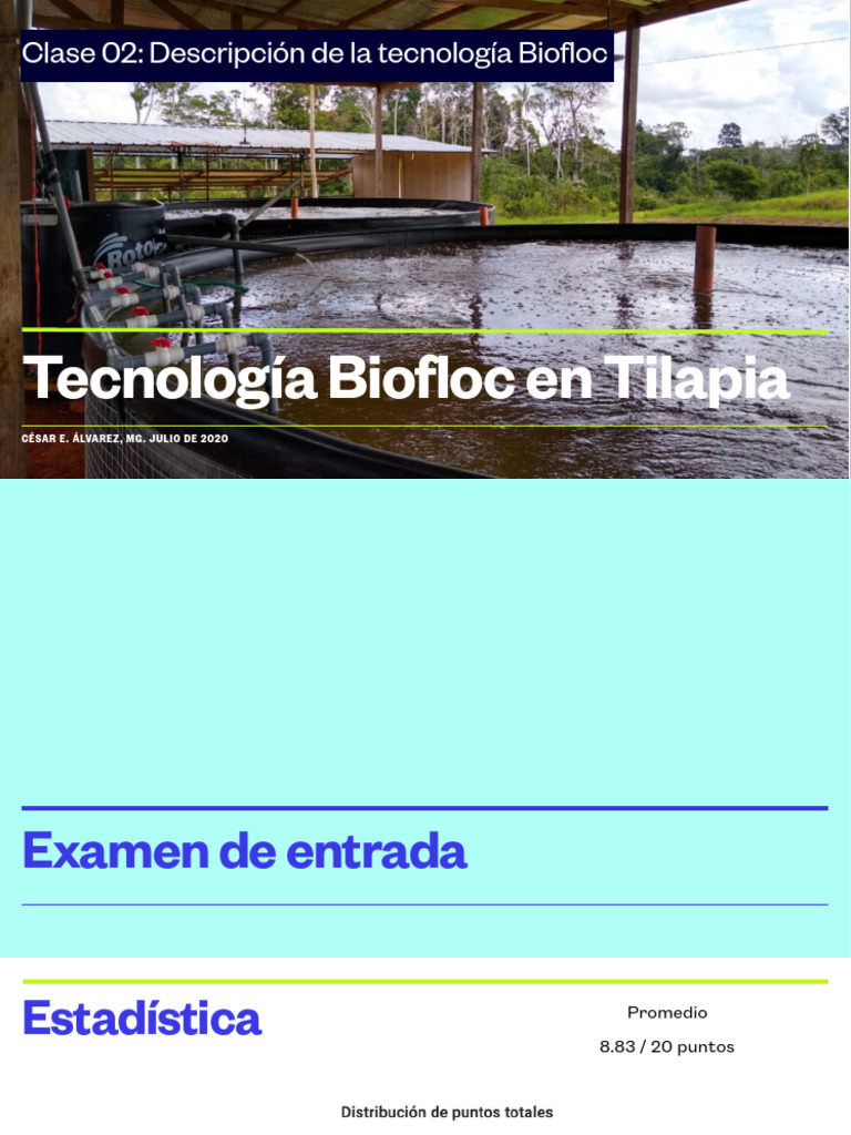 Tecnologiìa de Biofloc - Tilapia Clase 02 PDF - Opt | PDF