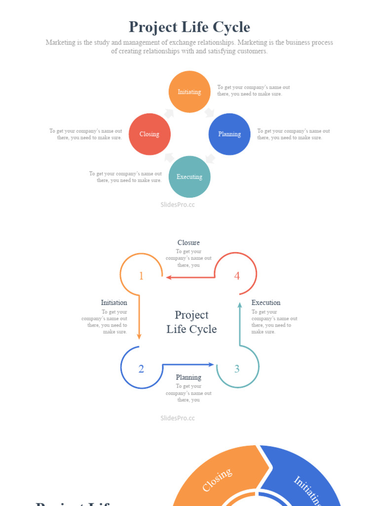 Project Life Cycle | PDF
