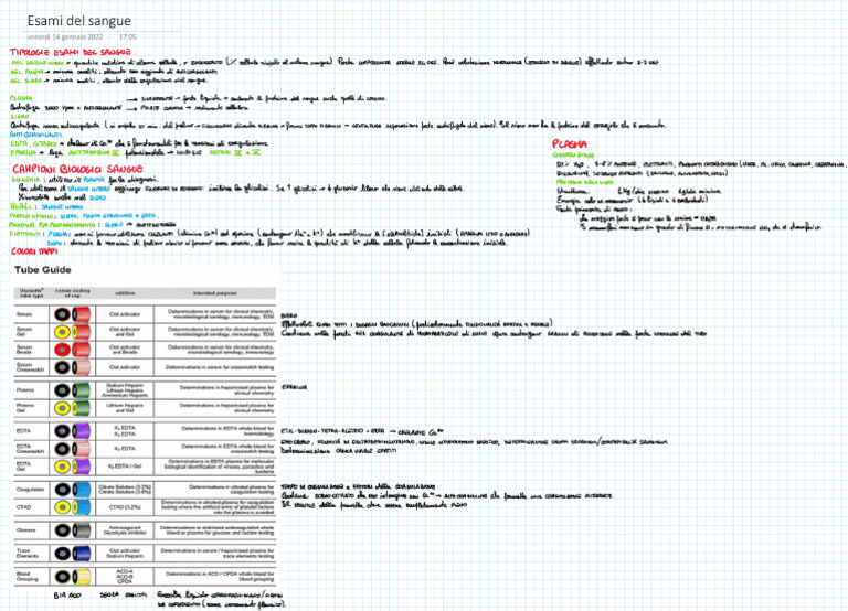 Esami Del Sangue Schema Rapido | PDF
