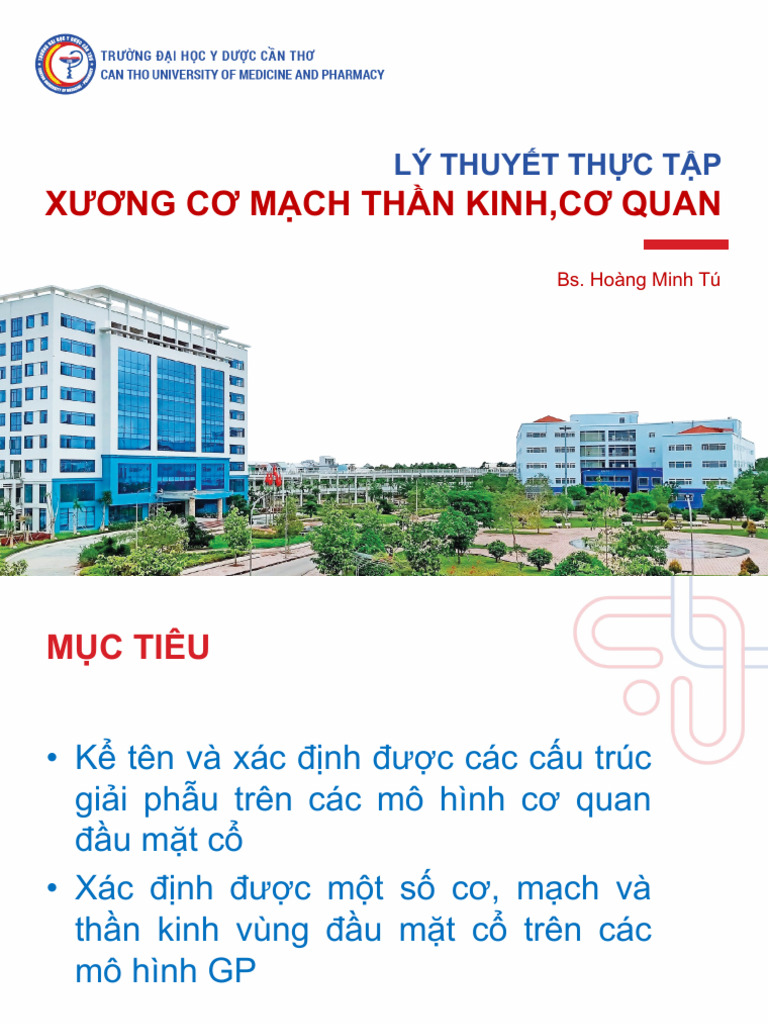 Thuc Hanh Mat Tai Co Quan Dau Mat Co 4 | PDF