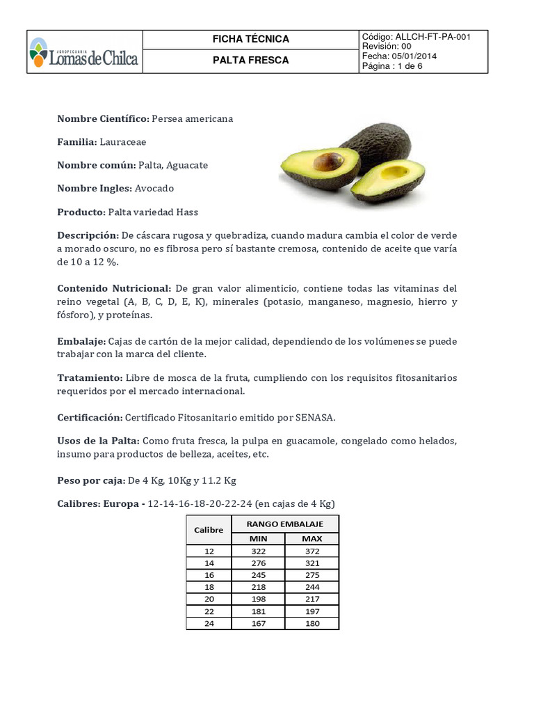 Ficha Tecnica Paltas | PDF | Aguacate