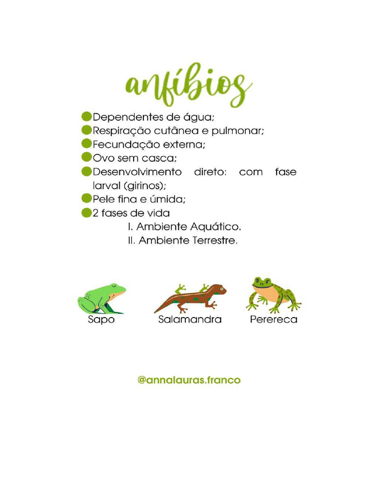 Anfibios | PDF