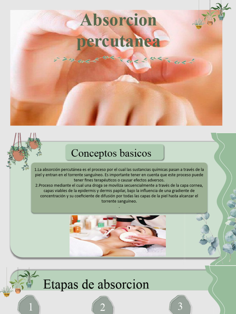 Absorcion Percutanea | PDF
