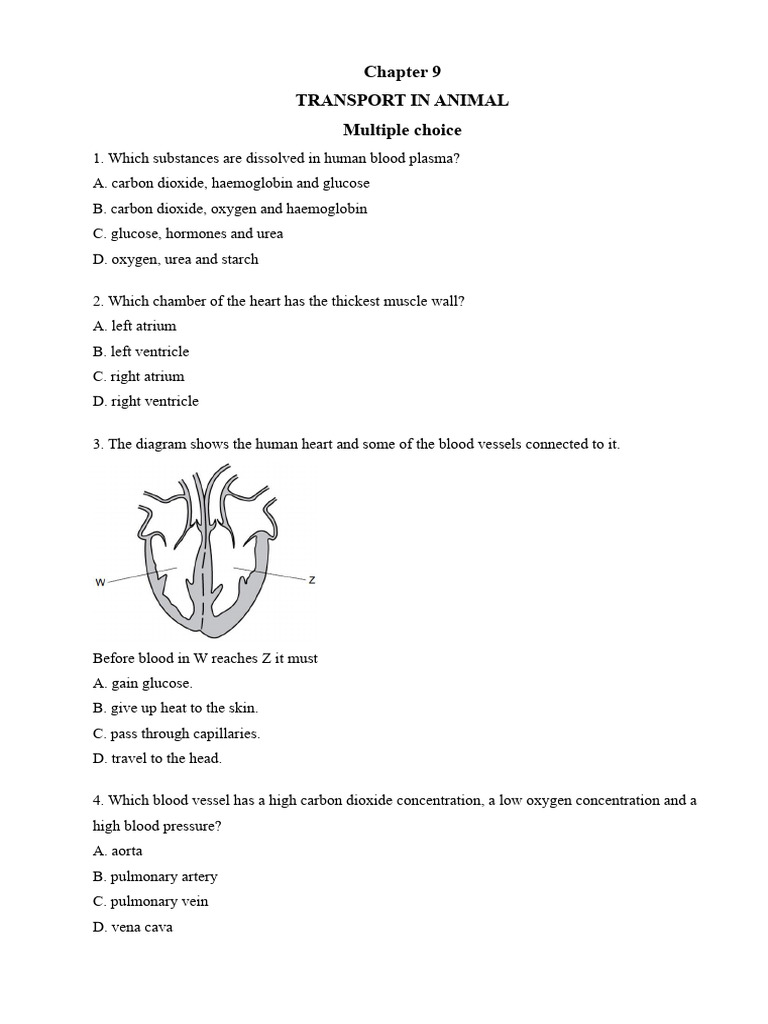 Chapter 9 MCQ IG Bio | PDF | Heart | Atrium (Heart)