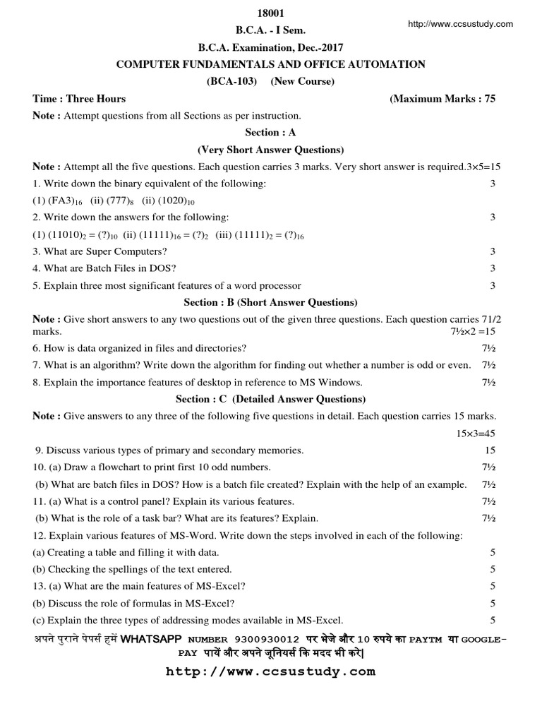 BCA Exam 2017: Computer Fundamentals | PDF