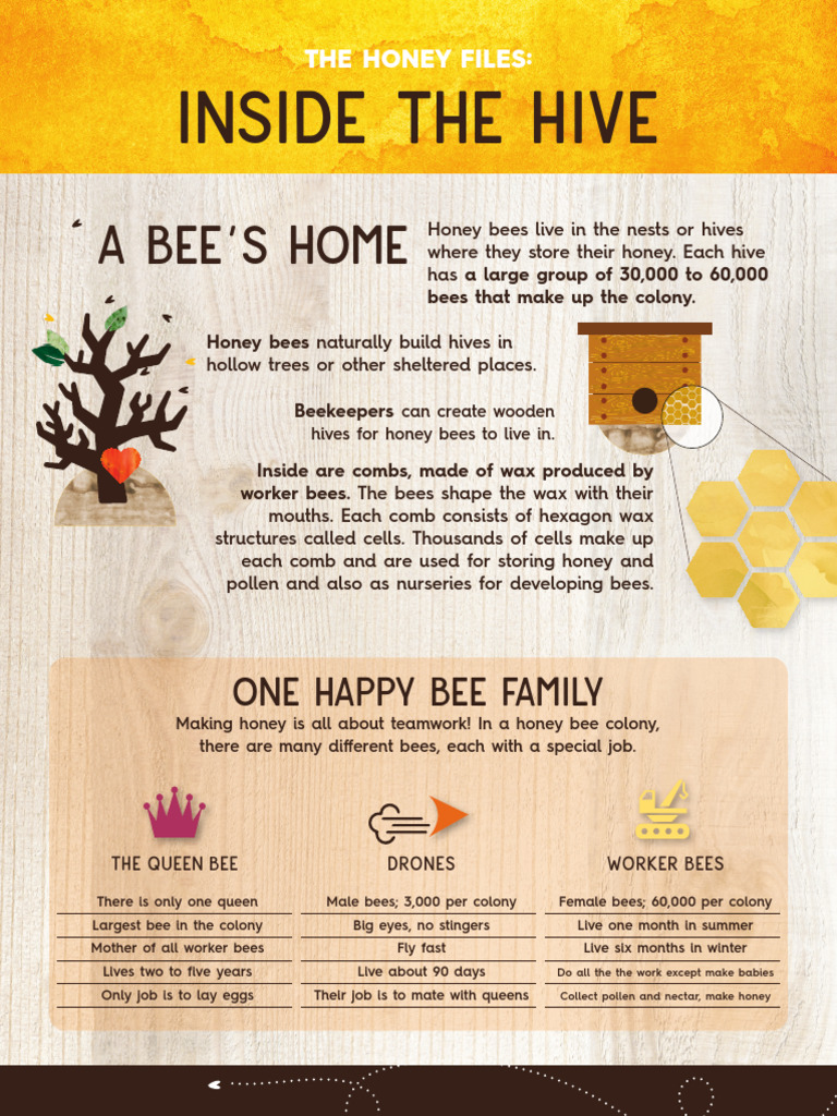 2020 Educational Materials Inside The Hive Activity Sheet | PDF