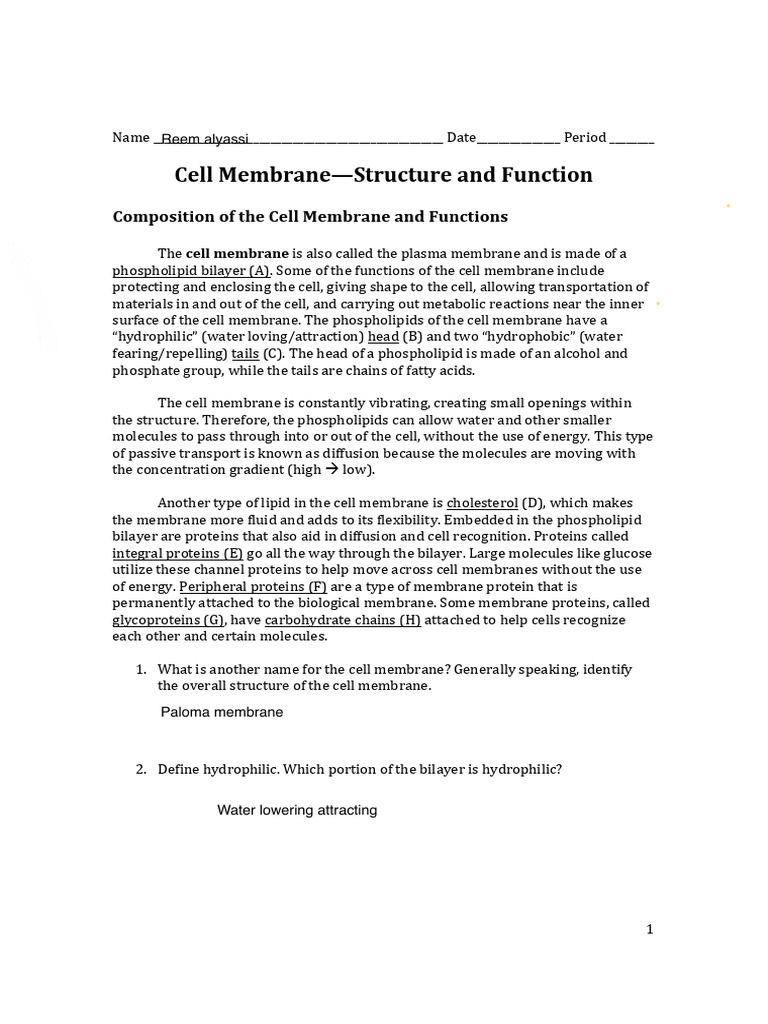 Cell Membrane Structure Worksheet | PDF | Cell Membrane | Lipid Bilayer