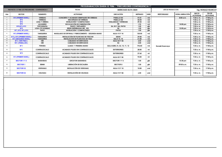 Programación Diaria de Actividades 2024 | PDF