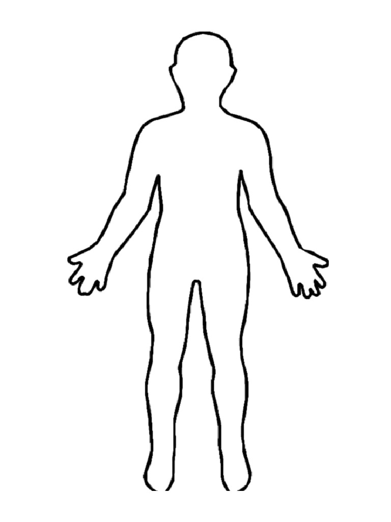 Body Systems Poster Template | PDF