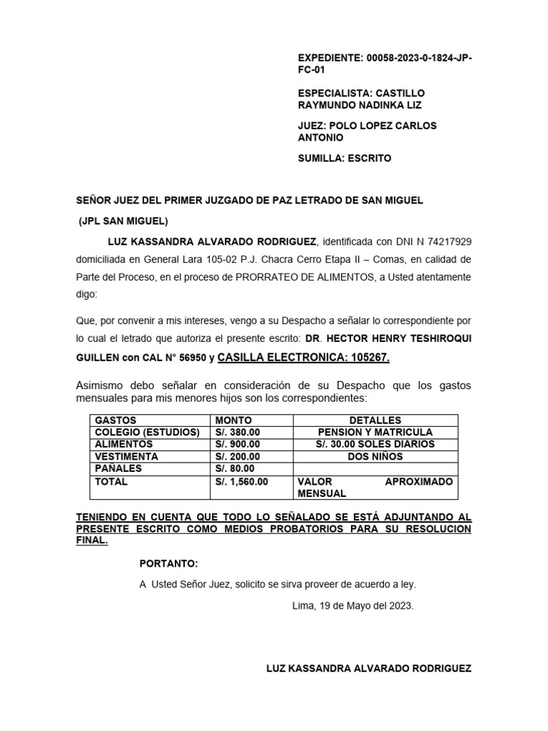 Escrito Complementario Luz Kassandra Alvarado Rodriguez - Juzgado Civil | PDF