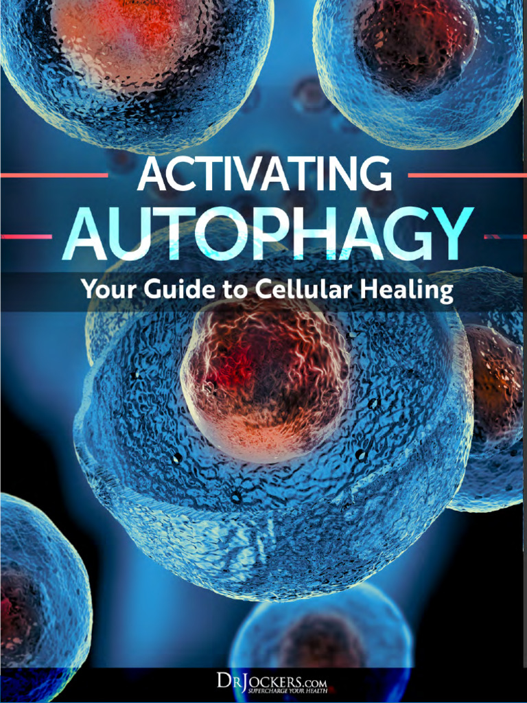 Activating Autophagy Your Guide To Cellular Healing | PDF