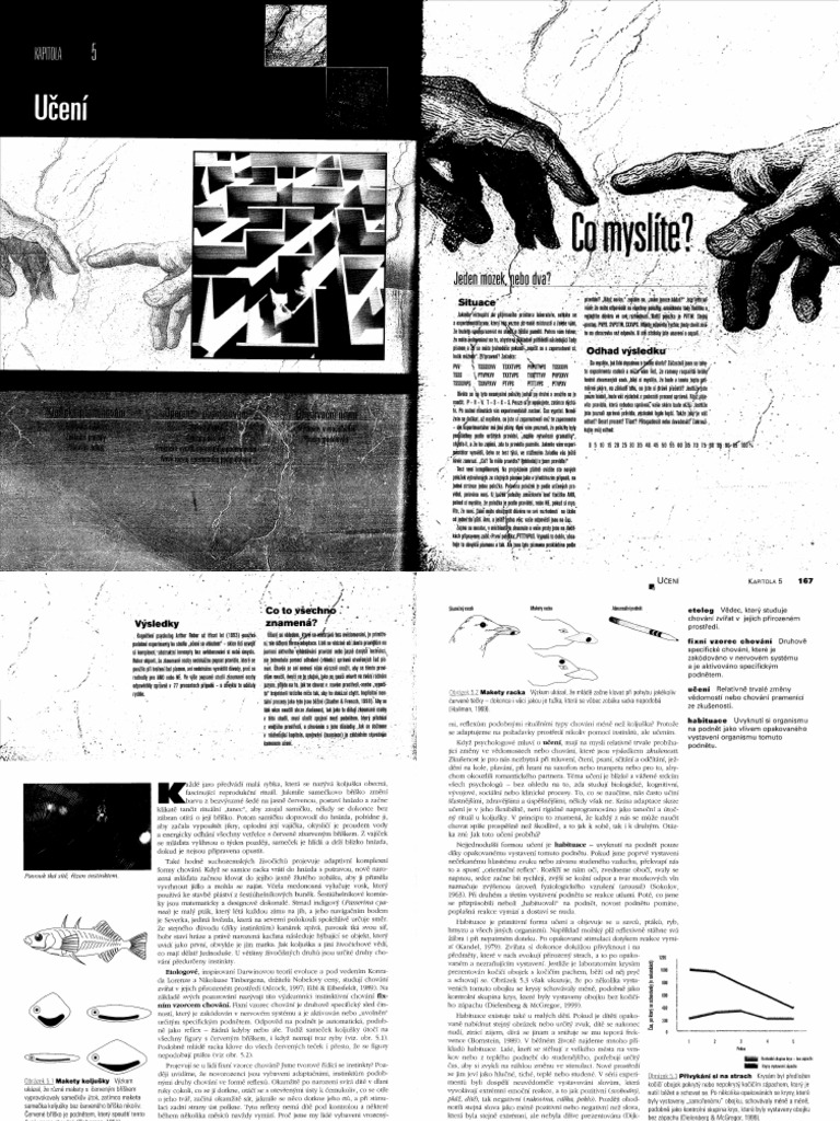 Kassin Saul 03 | PDF Kassin Saul 03 | PDF