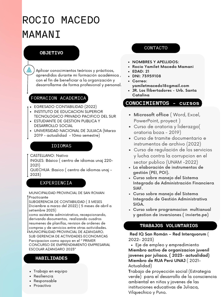 CV - Rocio Macedo - No Documentado | PDF