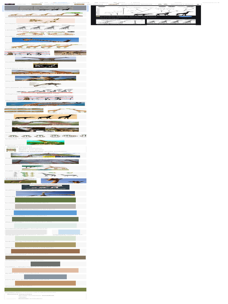 Giraffe Neck Evolution - Google Search | PDF