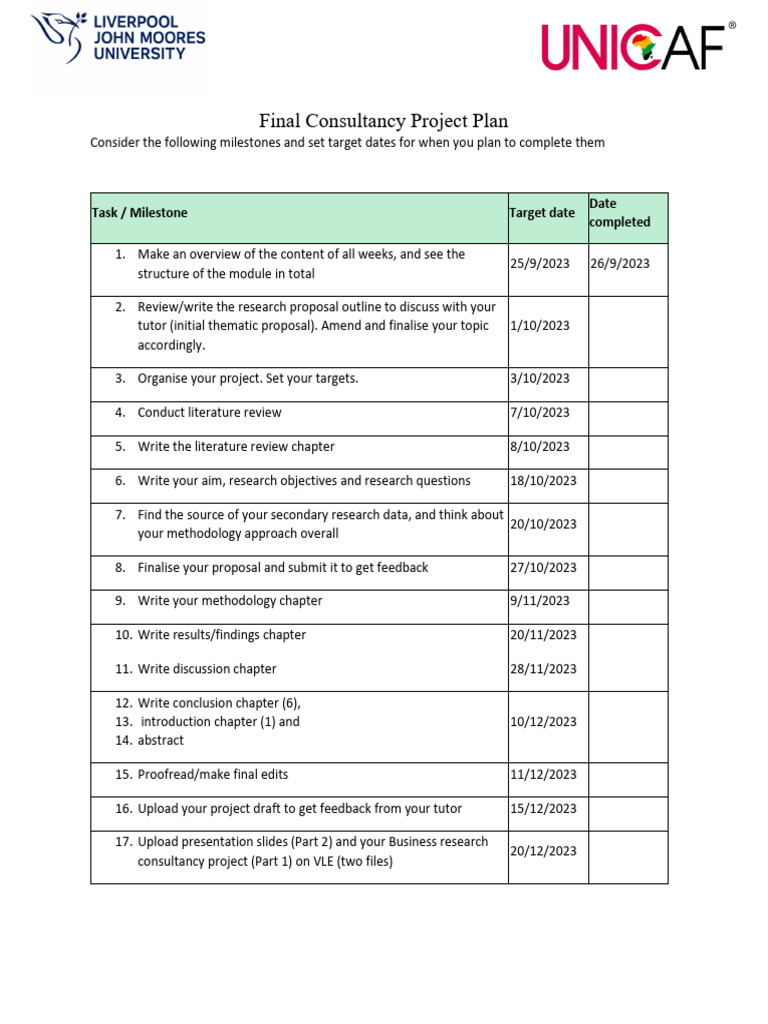 Final Consultancy Project Plan Mohamed Boriek Shehata | PDF