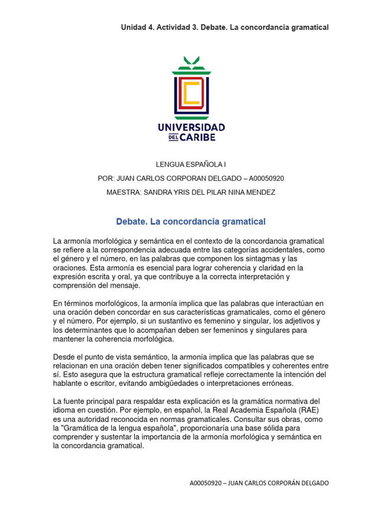 Unidad 4. Actividad 3. Debate. La Concordancia Gramatical | PDF