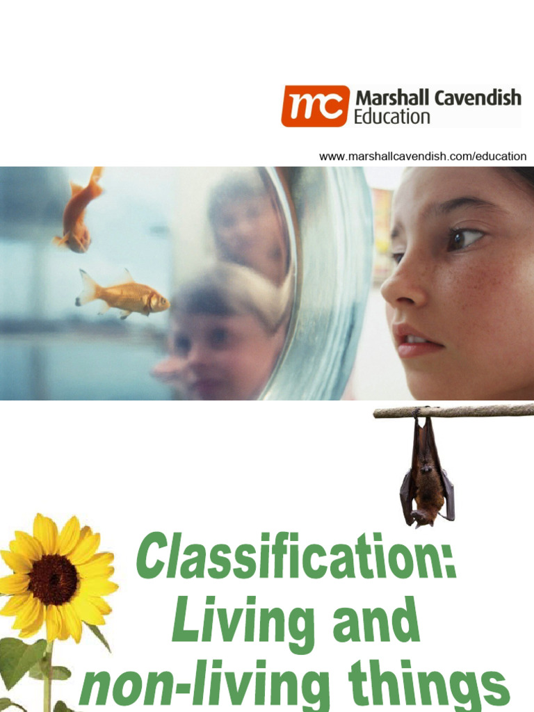 5 Diversity C01 Powerpoint Slides | PDF | Career & Growth