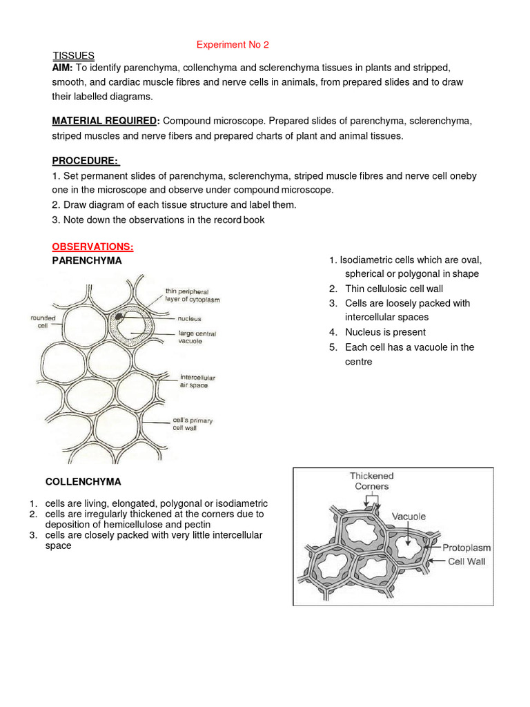 Comprehensive Lab Manual - Grade 9 Biology | PDF
