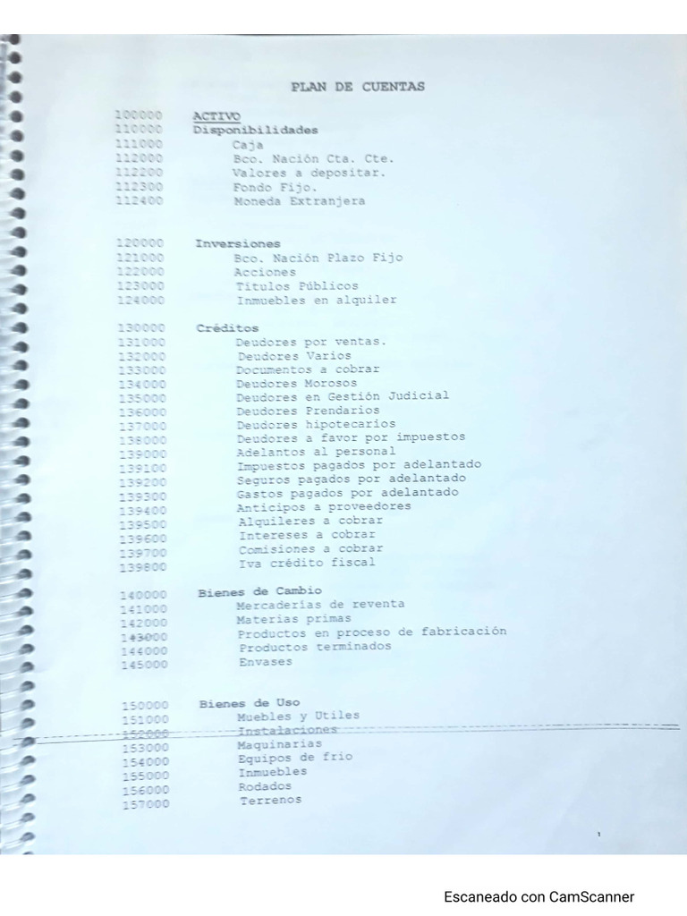 Plan de Cuentas Con Rubros | PDF