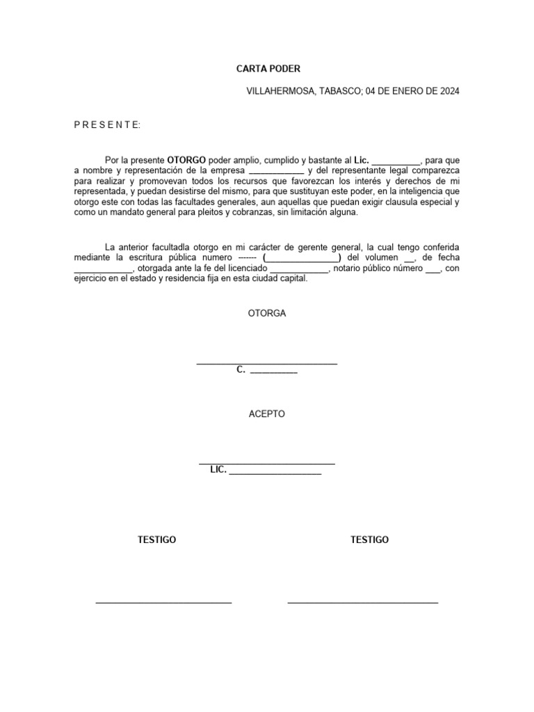 Formato de Carta Poder Editable | PDF