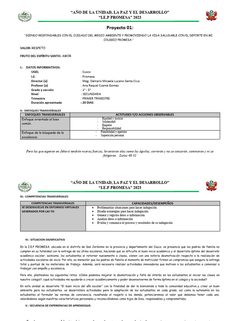 Modelo Proyecto | PDF