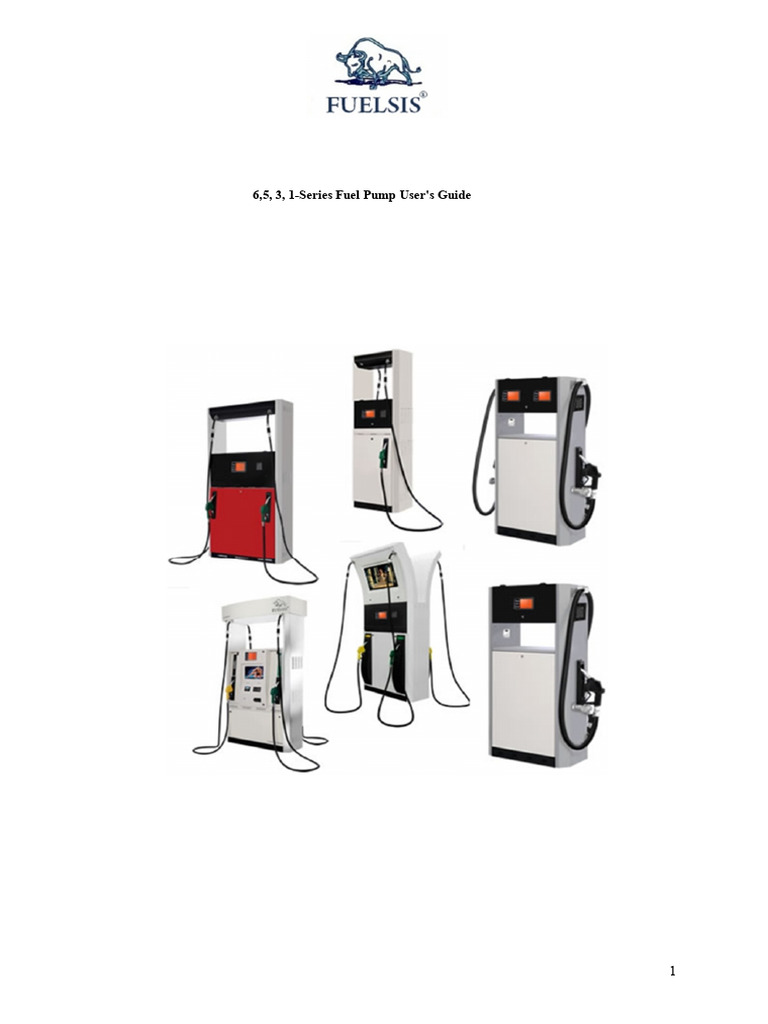 Fuelss 6 5 3 1 Series Fuel Pump Manual English1 9 | PDF