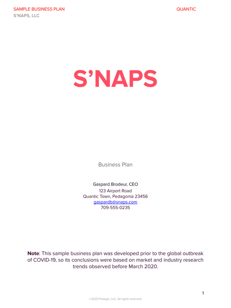 Snaps Business Plan | Download Free PDF | Airport Lounge | Hotel