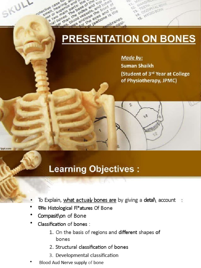 Presentation On Bones | PDF | Bone | Osteoblast