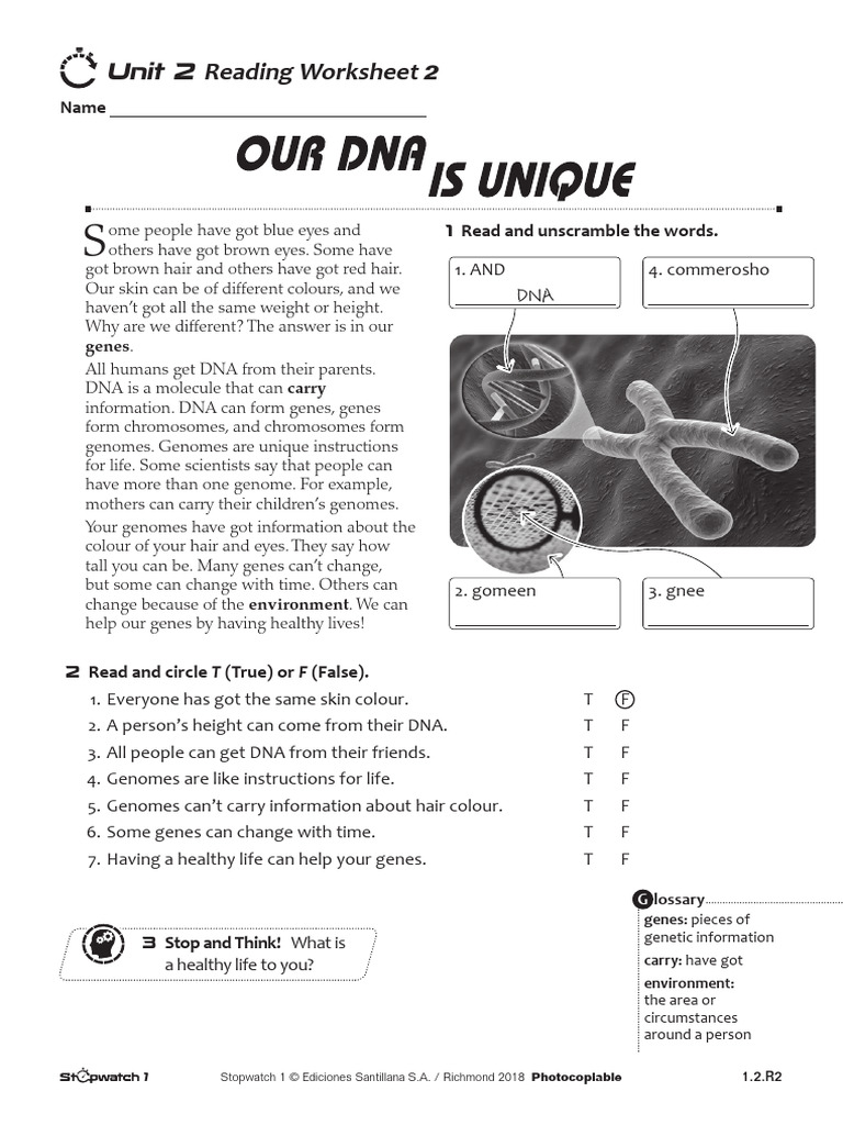 Reading Worksheet: Unit 2 2 | PDF | Gene | Genome