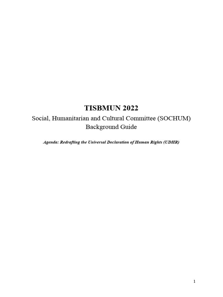 TISBMUN SOCHUM Background Guide | PDF