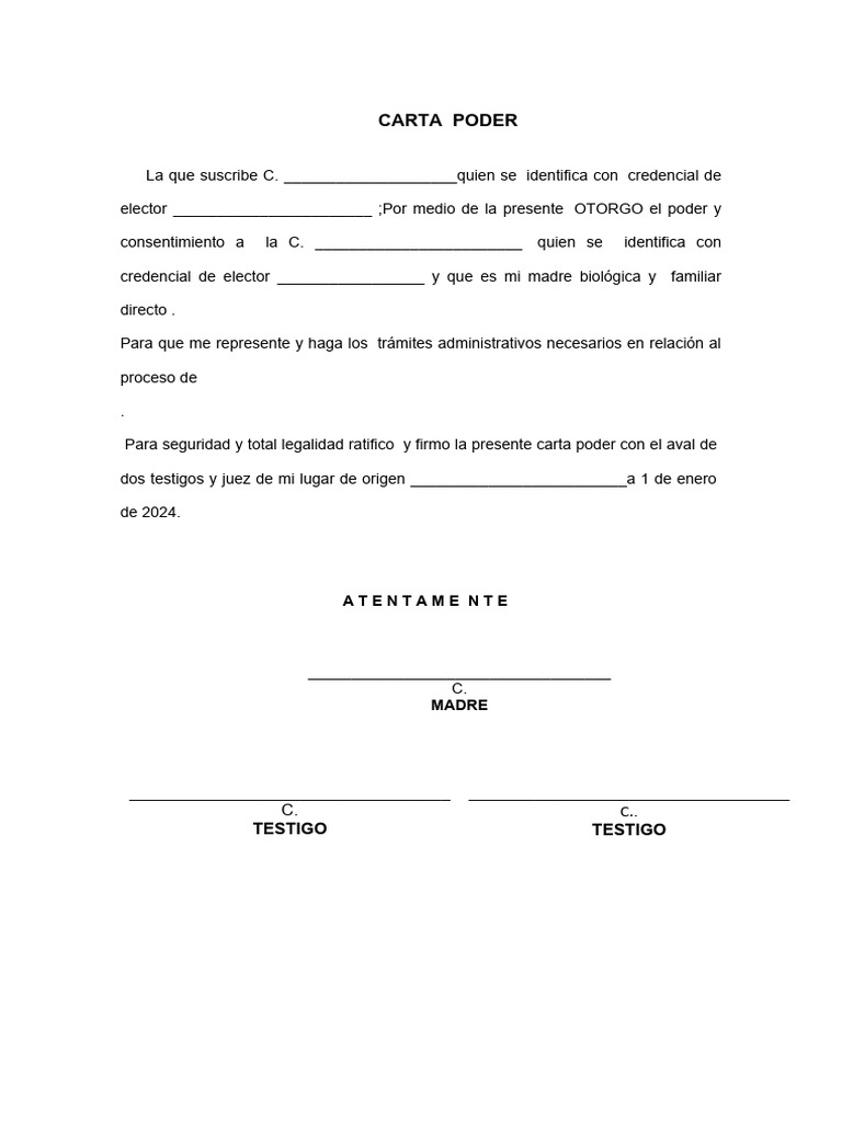 Carta Poder 2023 | PDF | Derecho