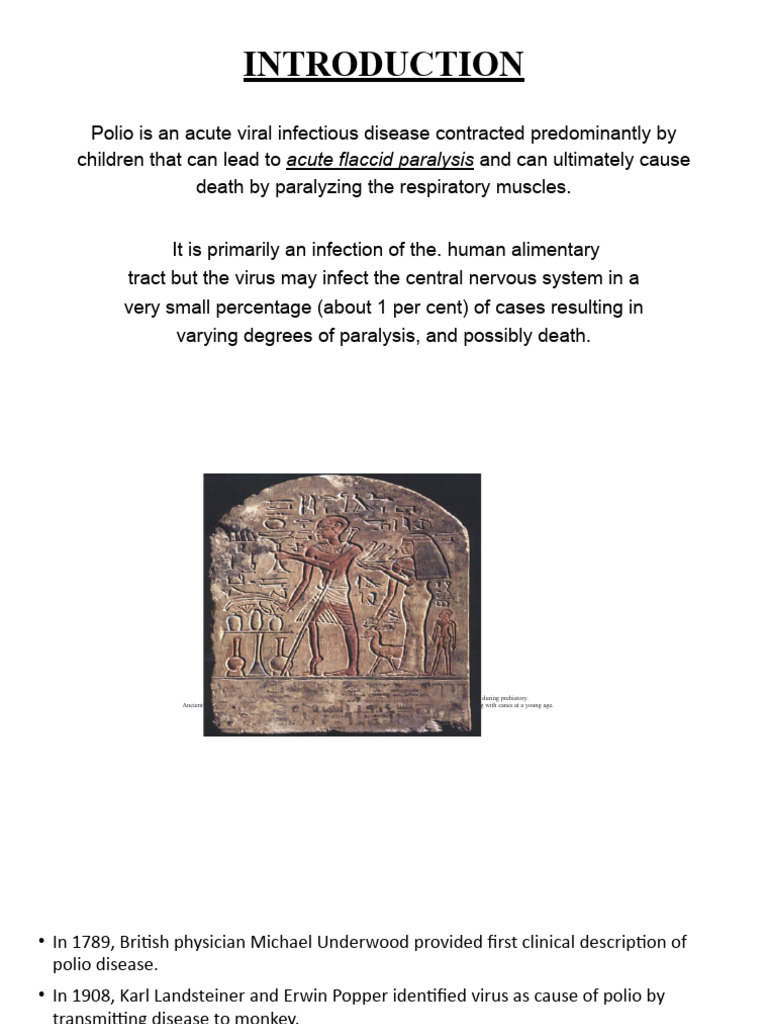 Overview of Poliomyelitis Causes and History | PDF | Self-Improvement ...